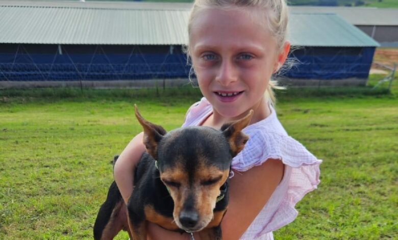 Pietermaritzburg PARR appeals for assistance | The Witness