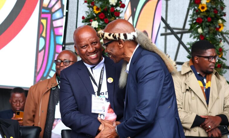 IFP vows to redistribute national government’s under-utilised land ...