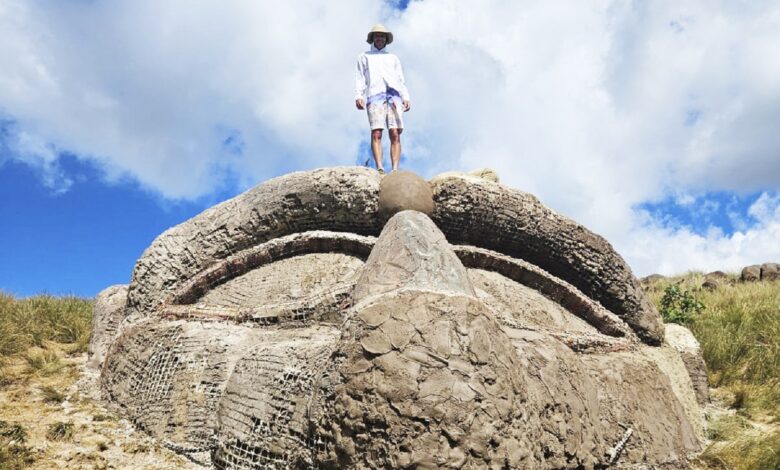 Respect the earth, says angry giant head sculpture near N3 | The Witness