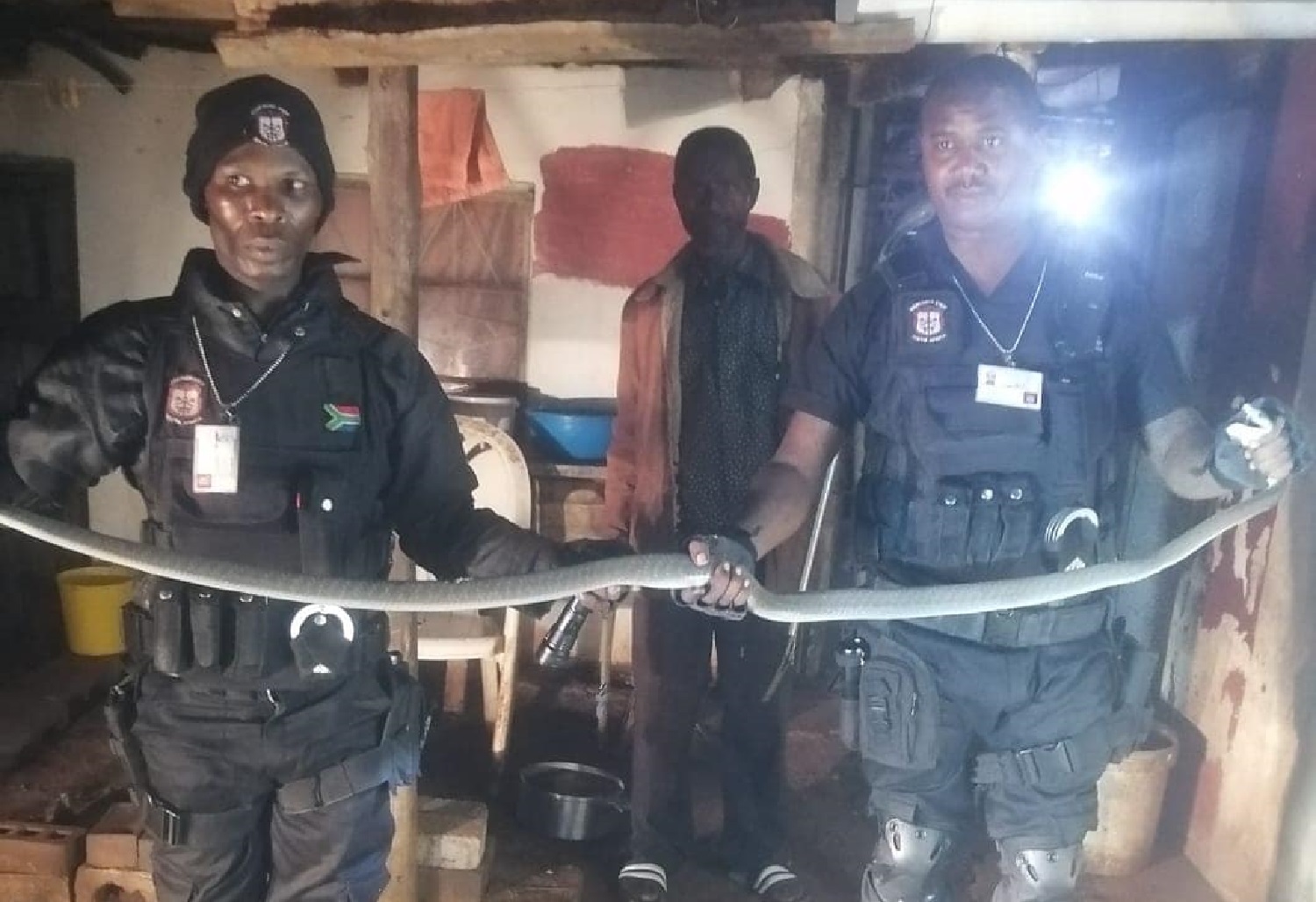 PICS | Two black mambas captured in Verulam over the weekend | The Witness