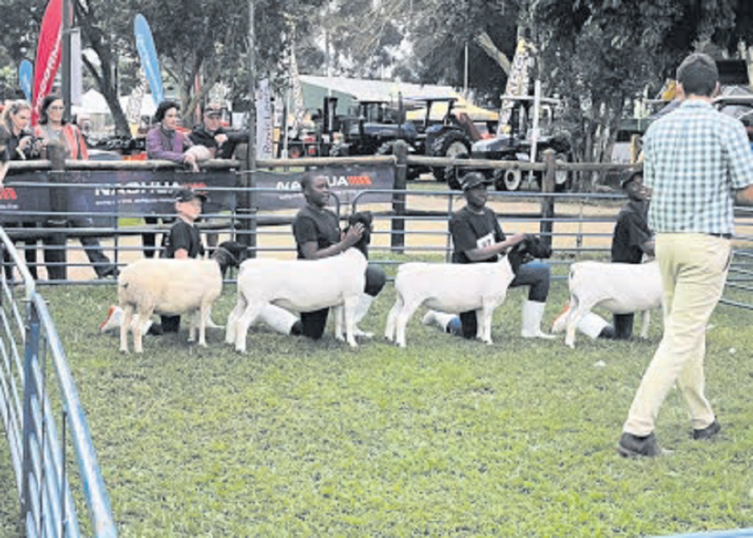 The future of farming is bright as youngsters shine | The Witness