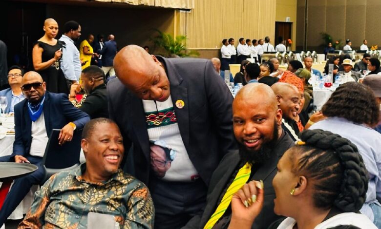 IFP and ANC reaffirm unity despite coalition tensions | The Witness