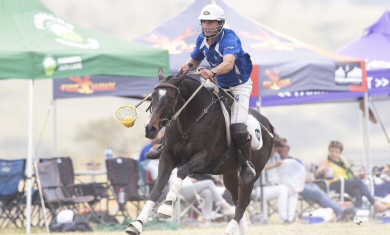 Polocrosse World Cup comes to Shongweni in KZN | The Witness