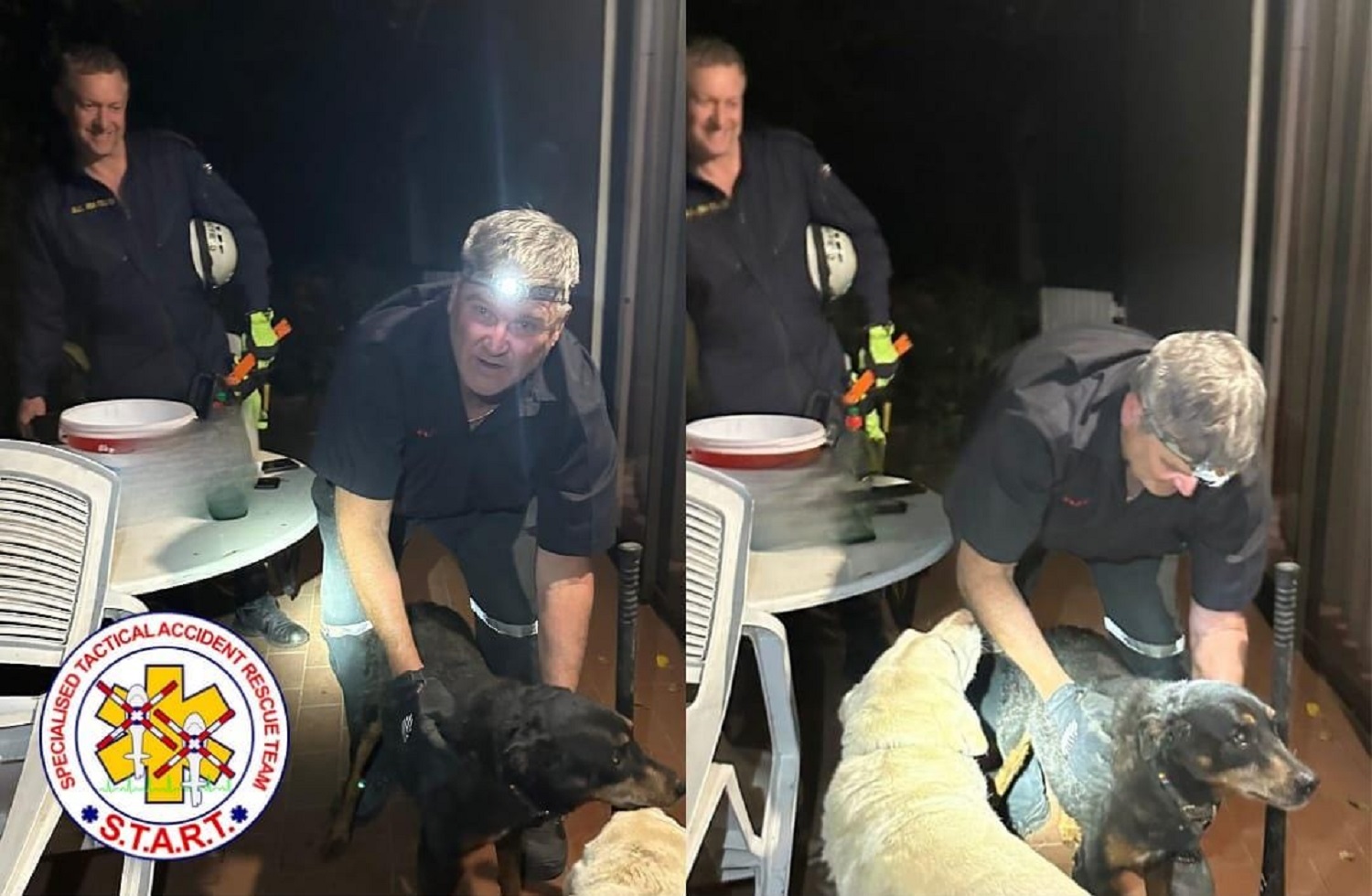 Dog rescued in La Lucia after being stuck between two walls | The Witness