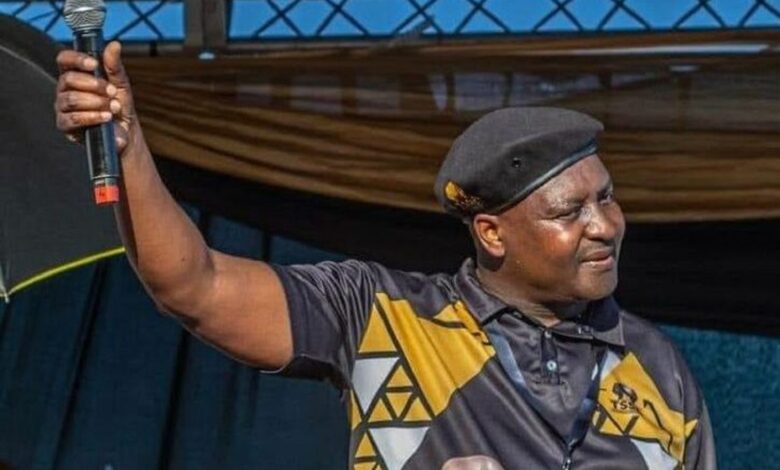 Axed Newcastle deputy mayor’s court bid rejected | The Witness