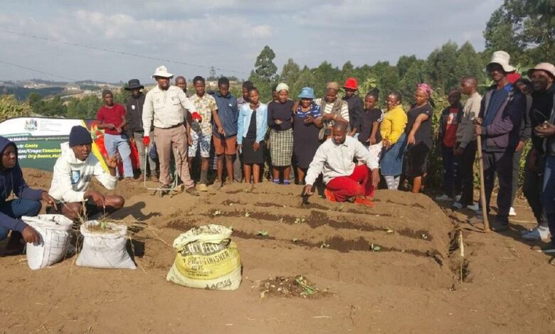 Young people in Umvoti urged to grow vegetables | The Witness