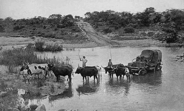 Bland gives us a snapshot of Africa | The Witness