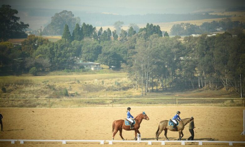 Wembley College's new equestrian centre set to open in 2025 | The Witness