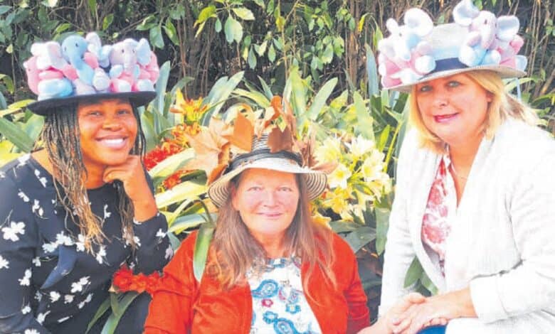 Happy Earth Forum celebrates 10th Anniversary with exciting festival at ...