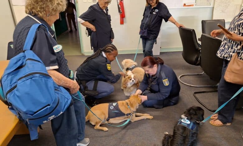 Angel Paws helps police officers deal with stress | The Witness
