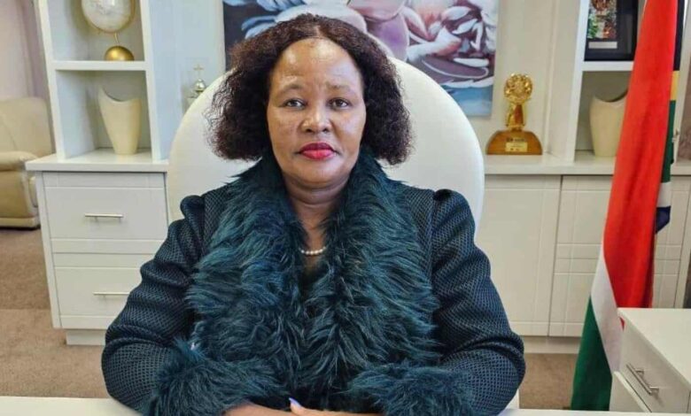 MEC Shinga tables motion to discuss township economies | The Witness