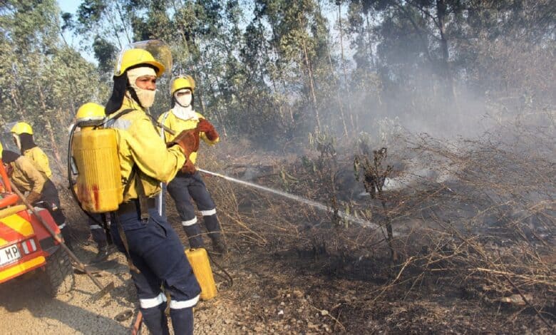 Firefighters fighting three blazes in PMB | The Witness