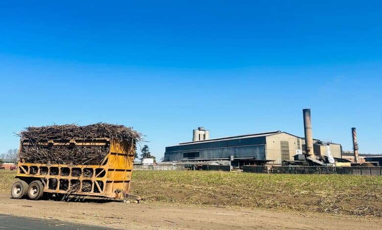 WATCH | Fire at Illovo Sugar Mill, Wartburg | The Witness