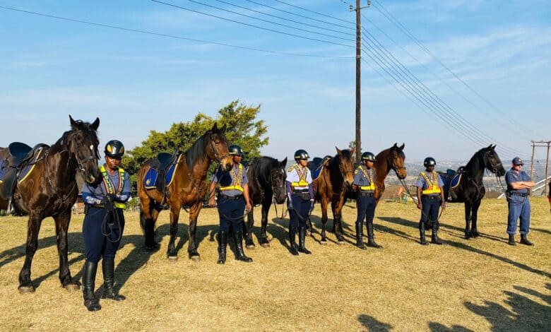 Appeal for refurbishment of Pietermaritzburg SAPS Mounted Unit | The ...
