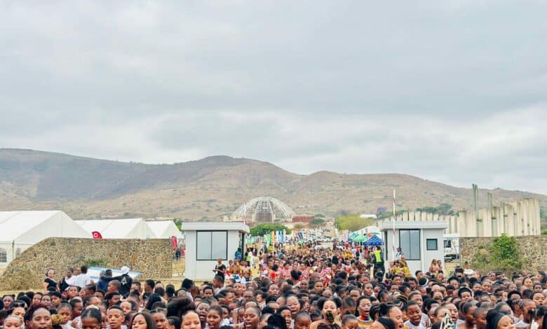 WATCH | Reed Dance: Zulu maidens ready to present their reeds to the ...