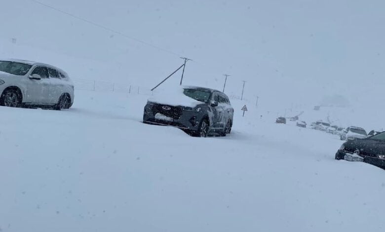 WATCH | Families stranded overnight in freezing snow | The Witness