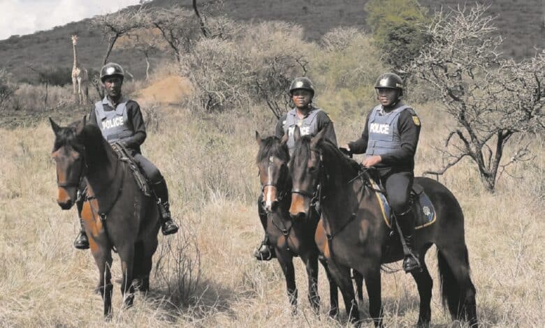 Police mounted unit tackles poaching in Bisley Nature Reserve | The Witness