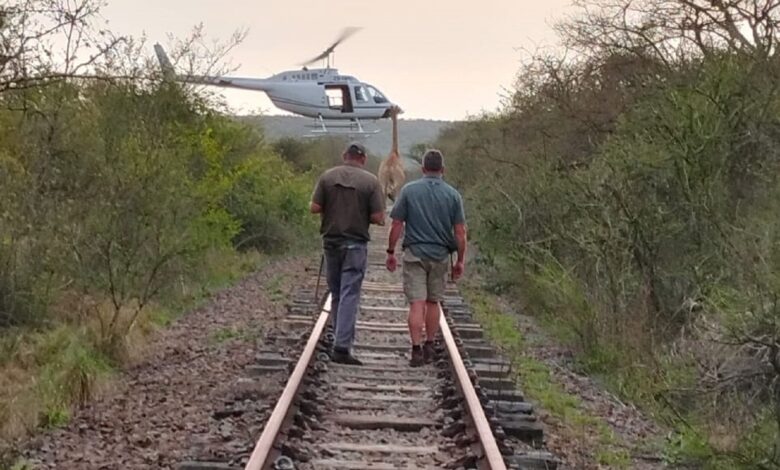 2024 in review: Conservation triumphs and struggles | The Witness