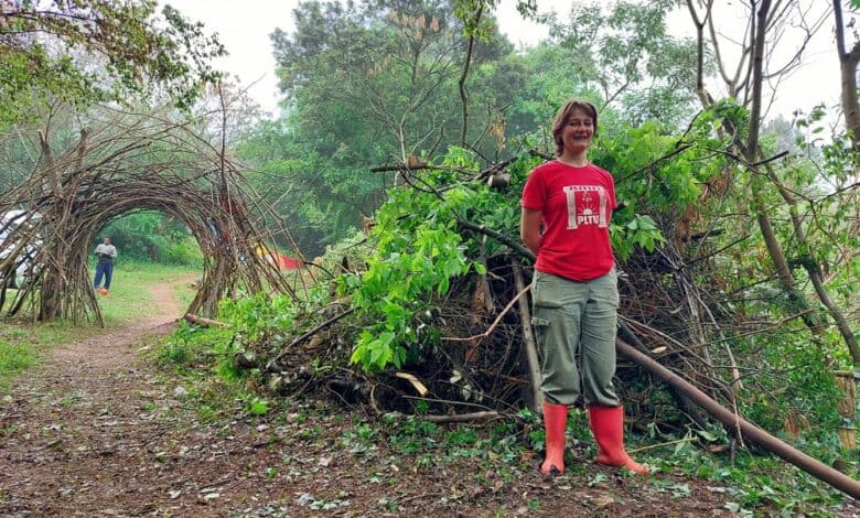 Hilton Scout's 'alien arch' is work of art | The Witness