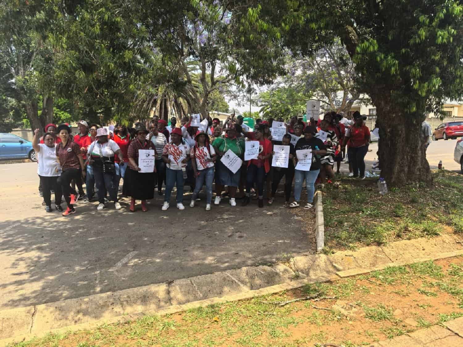 KZN Sadtu members continue protest against Education dept | The Witness