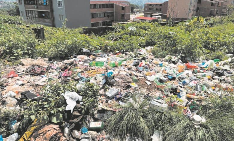 Dumping crisis in South Africa linked to pesticide misuse | The Witness