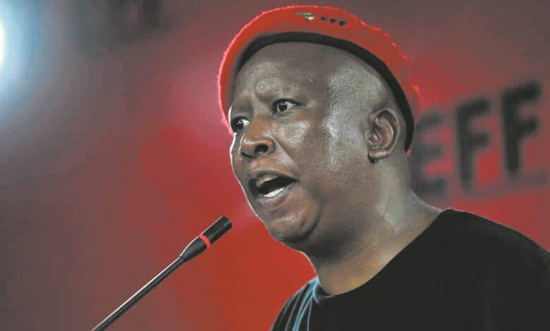 EFF leader Malema lashes at Ndlozi, Zuma | The Witness