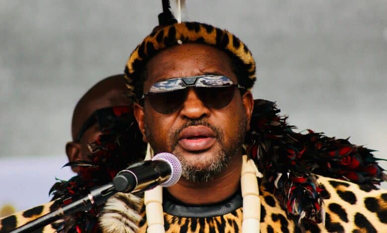 Rural Development Minister takes action against Ingonyama Trust Board ...