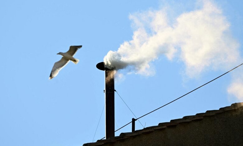 White smoke signals new pope elected | The Witness