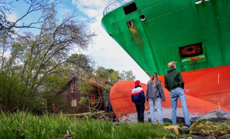 Norway cabin owner snoozes as cargo ship runs aground outside | The Witness