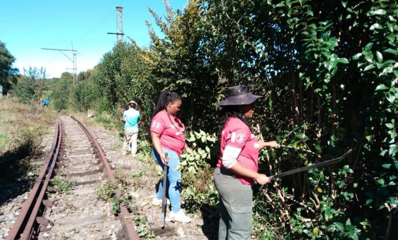 Grand green plans for Hilton railway line | The Witness