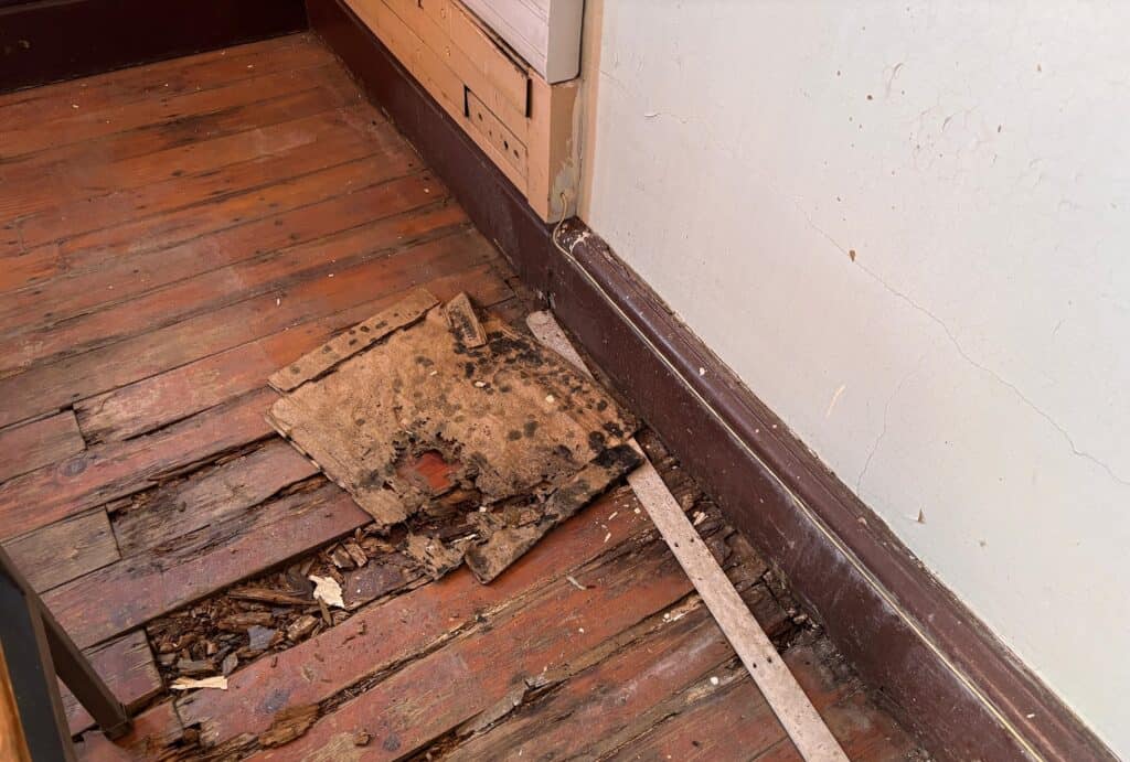 PICS | Cracks, leaks and frustration at PMB central police station ...