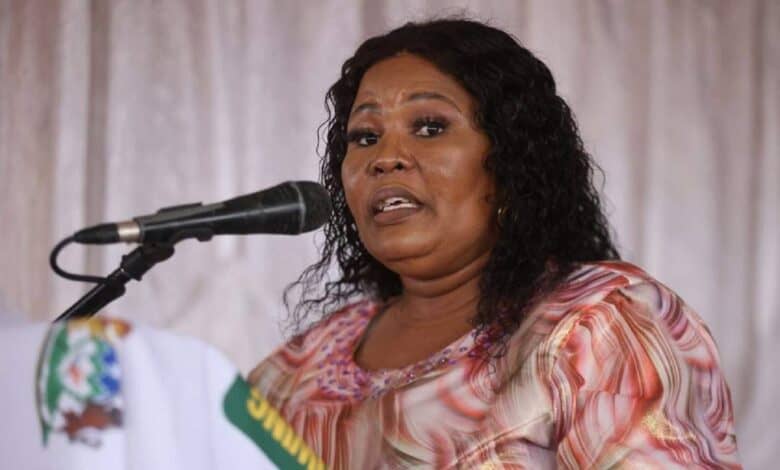 NFP's bid to remove KZN MEC hits a snag | The Witness