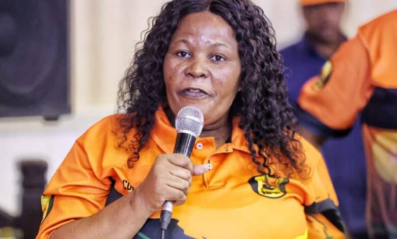 Court halts NFP disciplinary action against Shinga | The Witness