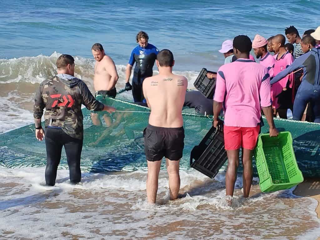 PICS | Kelso beach comes alive as sardine crates roll in | The Witness