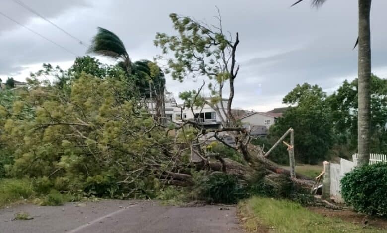 KZN weather: Snow, strong winds cause road closures | The Witness