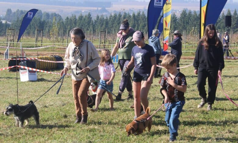 Hundreds of dogs show support for SPCAs | The Witness