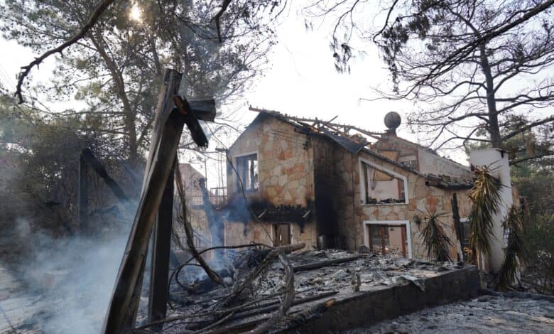 Two dead as Cyprus battles wildfire in searing heat | The Witness
