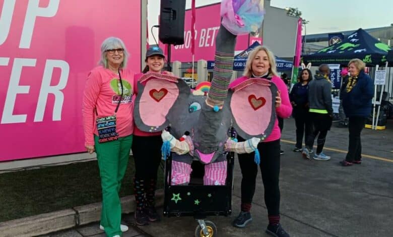 KPCA hosts successful Rock the Block event | The Witness