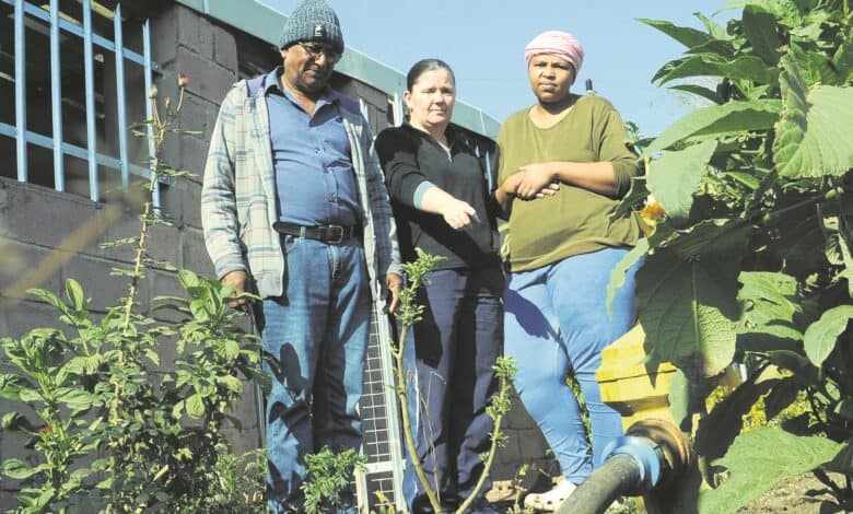 Ashburton residents rely on fire hydrant as water crisis drags on | The ...