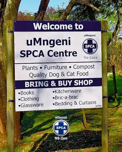uMngeni SPCA thanks loyal Midlands' supporters | The Witness