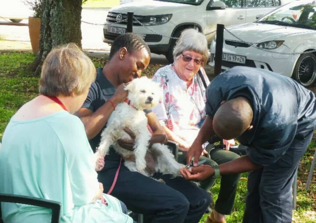 uMngeni SPCA thanks loyal Midlands' supporters | The Witness