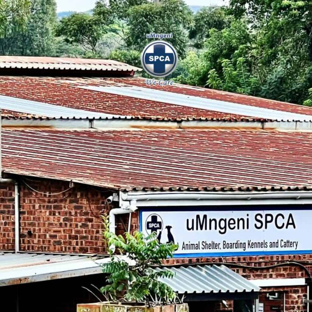 uMngeni SPCA thanks loyal Midlands' supporters | The Witness