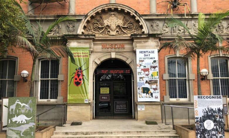 KZN Museum Undergoes Upgrades, Remains Open to Public | The Witness