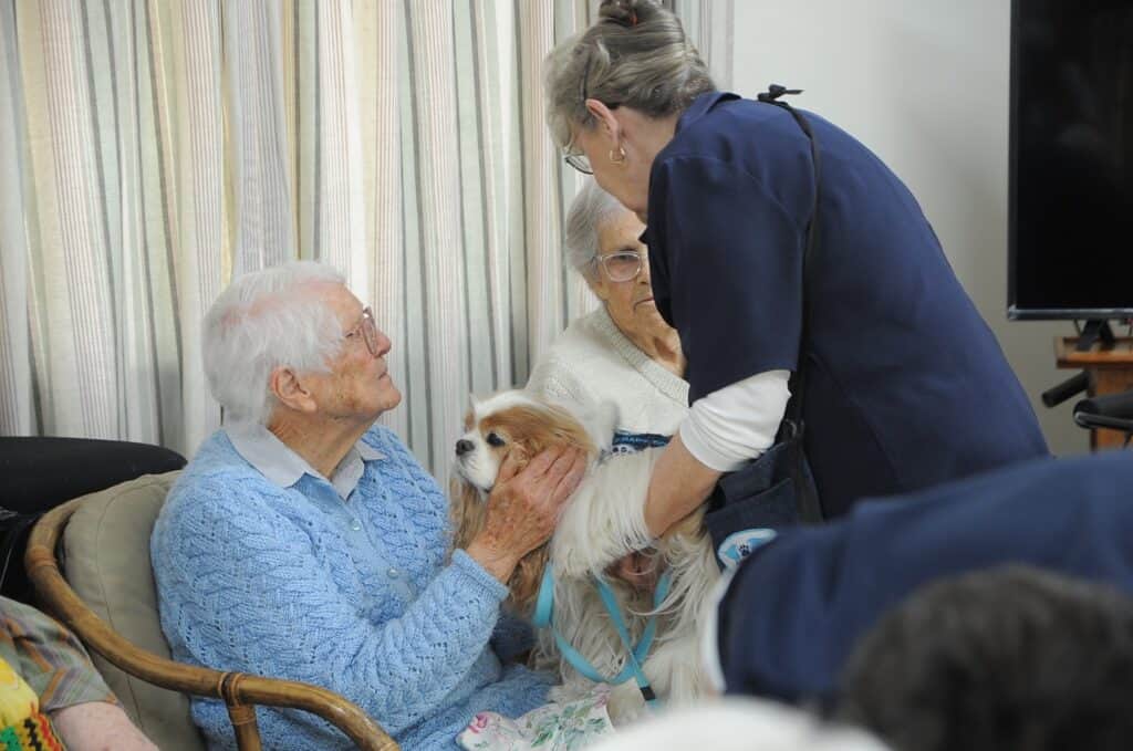 WATCH | Angel Paws Therapy Dogs to place its paw in Pietermaritzburg ...