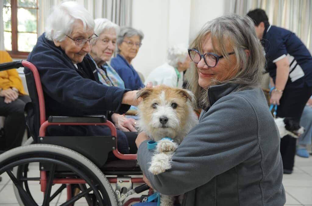 WATCH | Angel Paws Therapy Dogs to place its paw in Pietermaritzburg ...