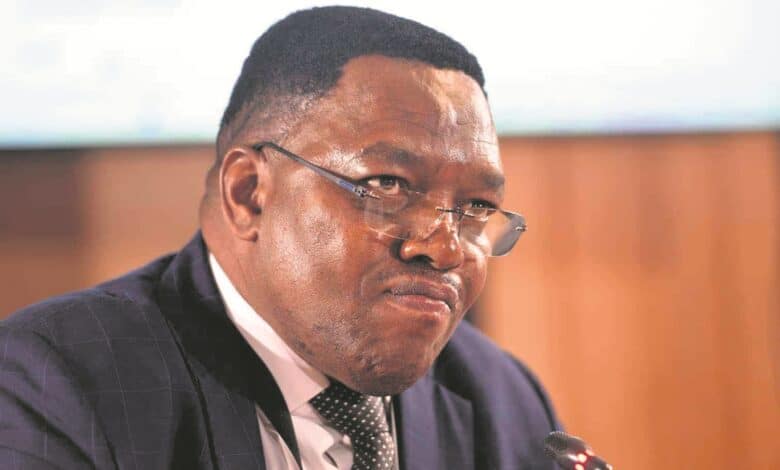 Masemola appears before Parliament's ad hoc committee | The Witness