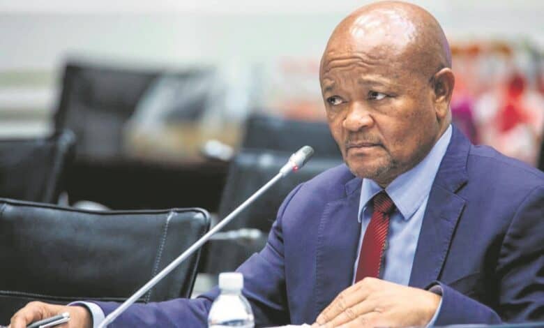 Mchunu set to address Mogotsi allegations as inquiry resumes | The Witness