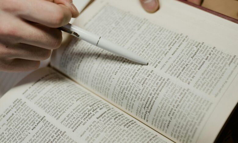 Google marks Dictionary Day with new African language terms | The Witness