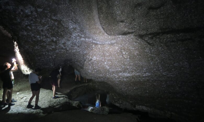 WATCH | Giant spider web found in Greek-Albanian border cave | The Witness