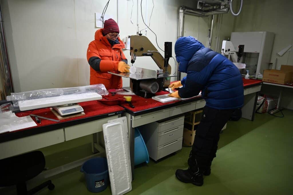 PICS | 'Extremely exciting': the ice cores that could help save ...